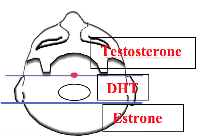 Tricogramma - TricoItalia